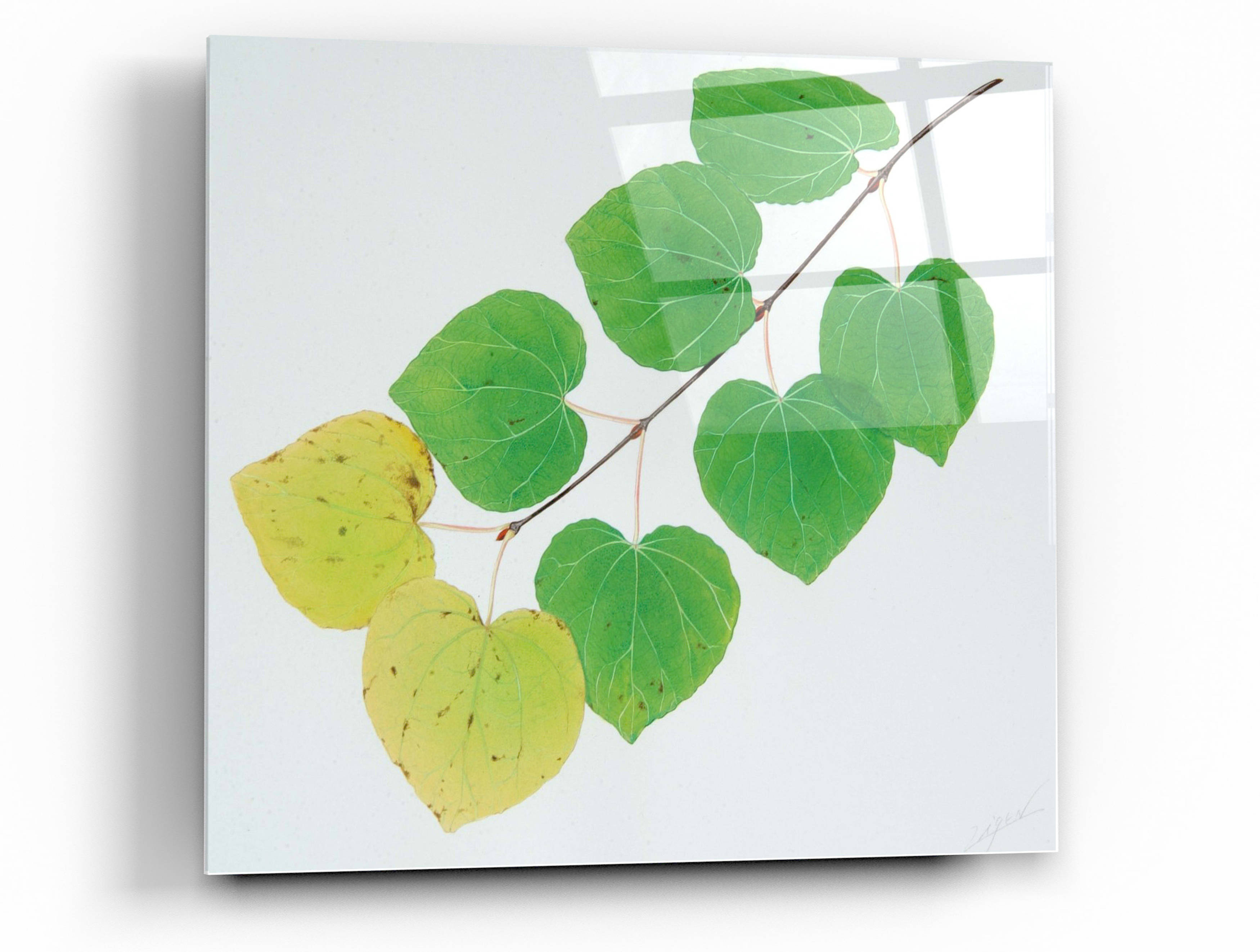 Epic Art 'Katura' By Zigen Tanabe, Acrylic Glass W " Katura " by Zigen Tanabe | Wayfair